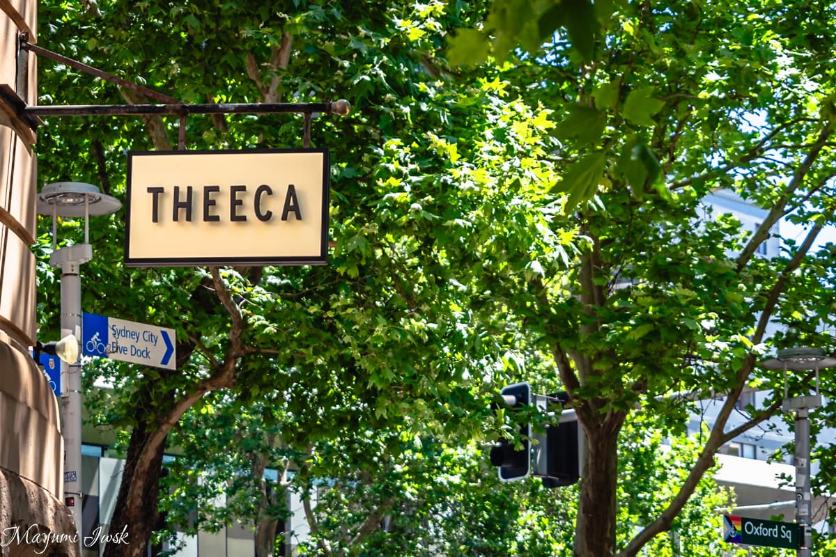 ジャカランダ並木を見下ろすカフェ「ティーカ（THEECA）」